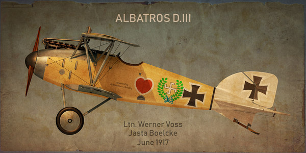 Albatros d iii werner 3D model - TurboSquid 1395097