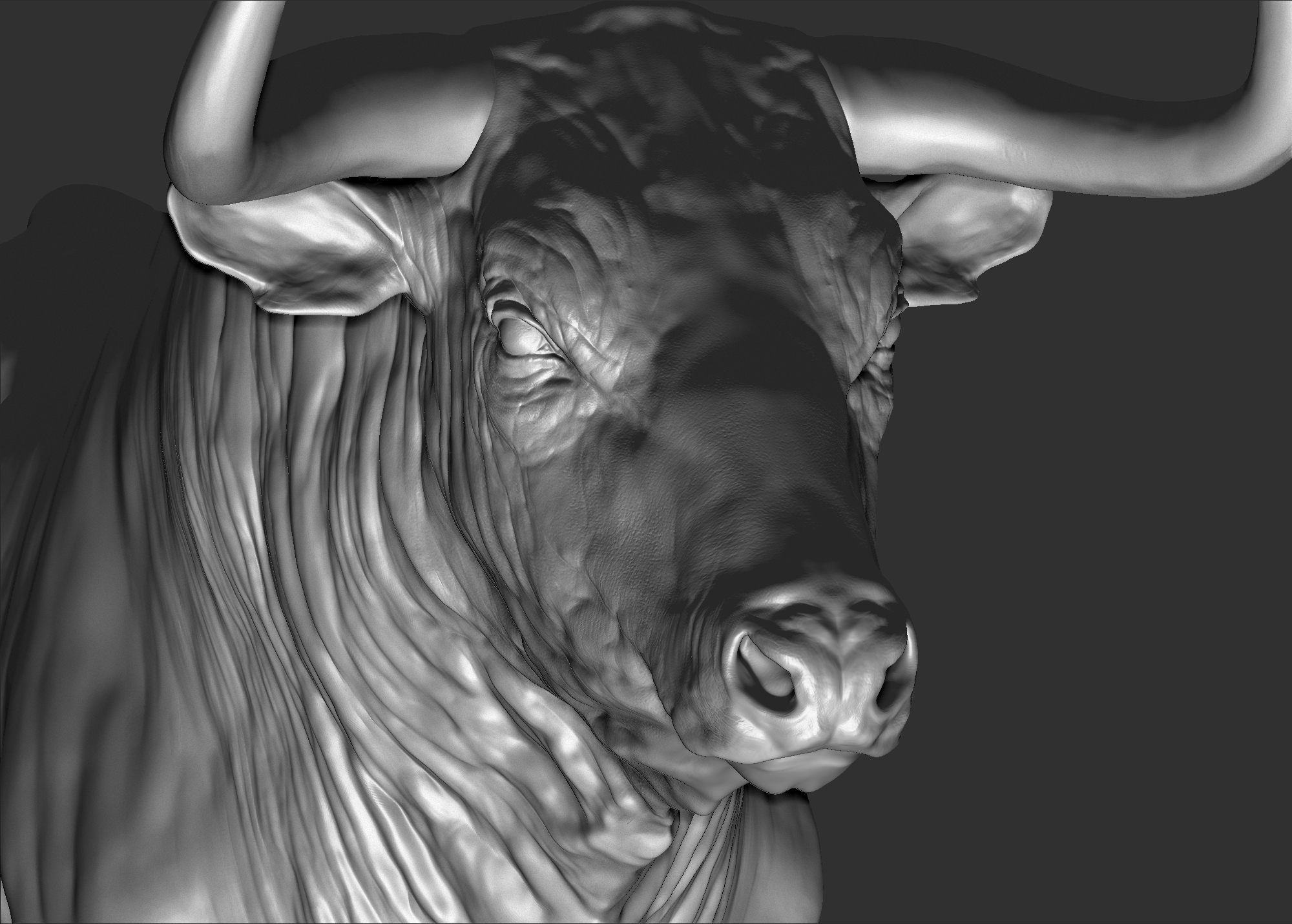 modelo 3d el toro toro - TurboSquid 1394459