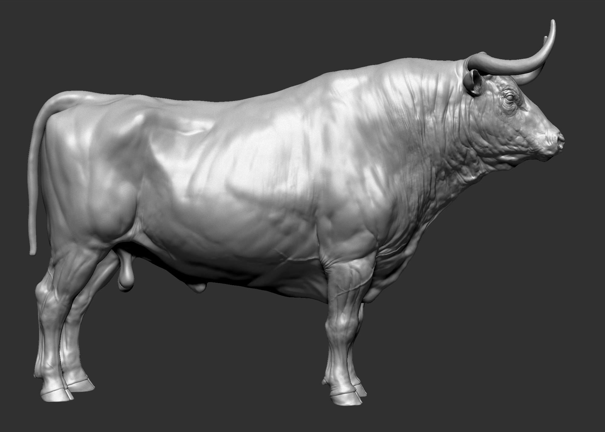 modelo 3d el toro toro - TurboSquid 1394459