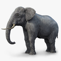Des Modèles de 3D L'Éléphant à Télécharger | TurboSquid