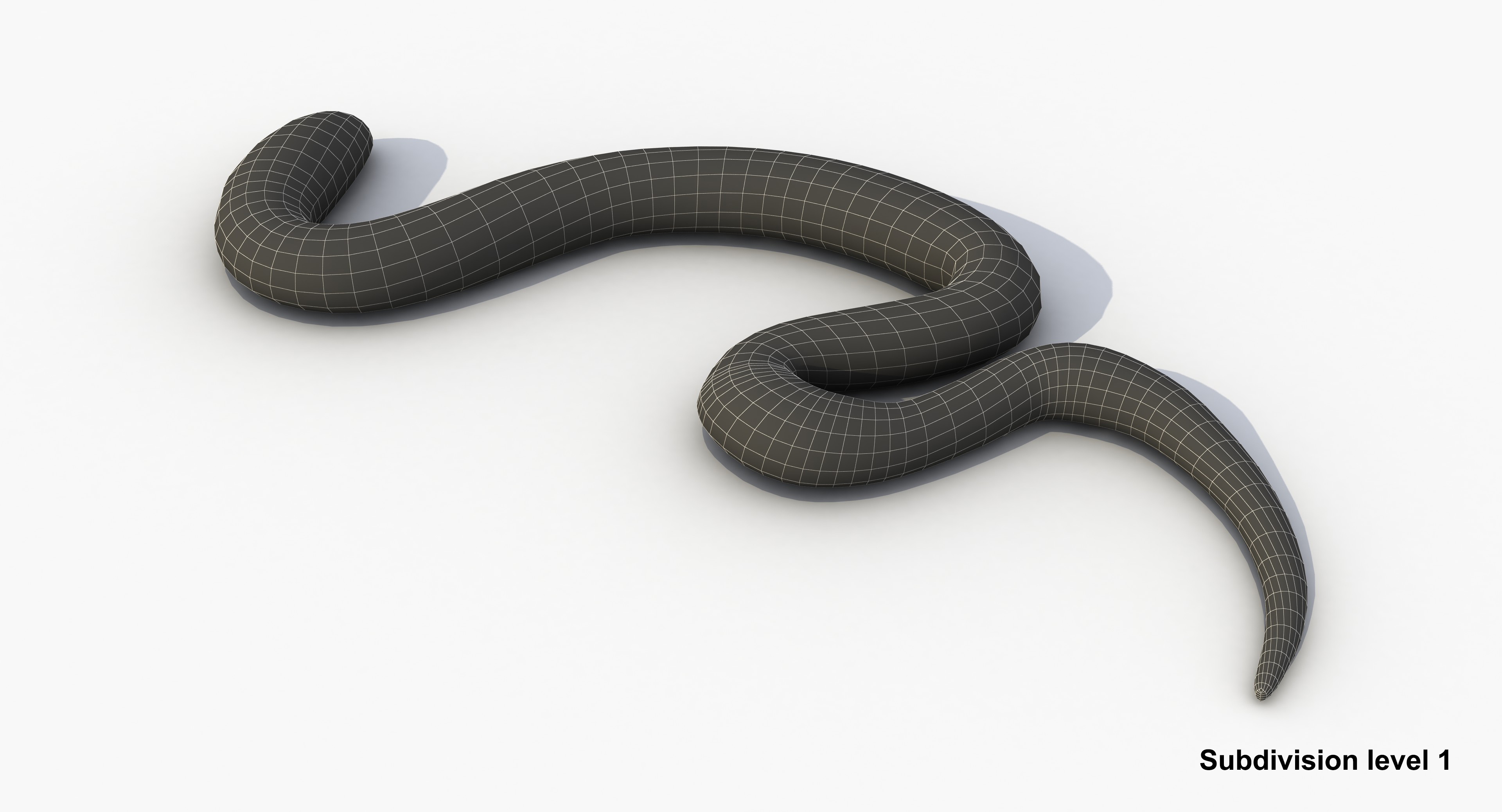 earth worm 3d model