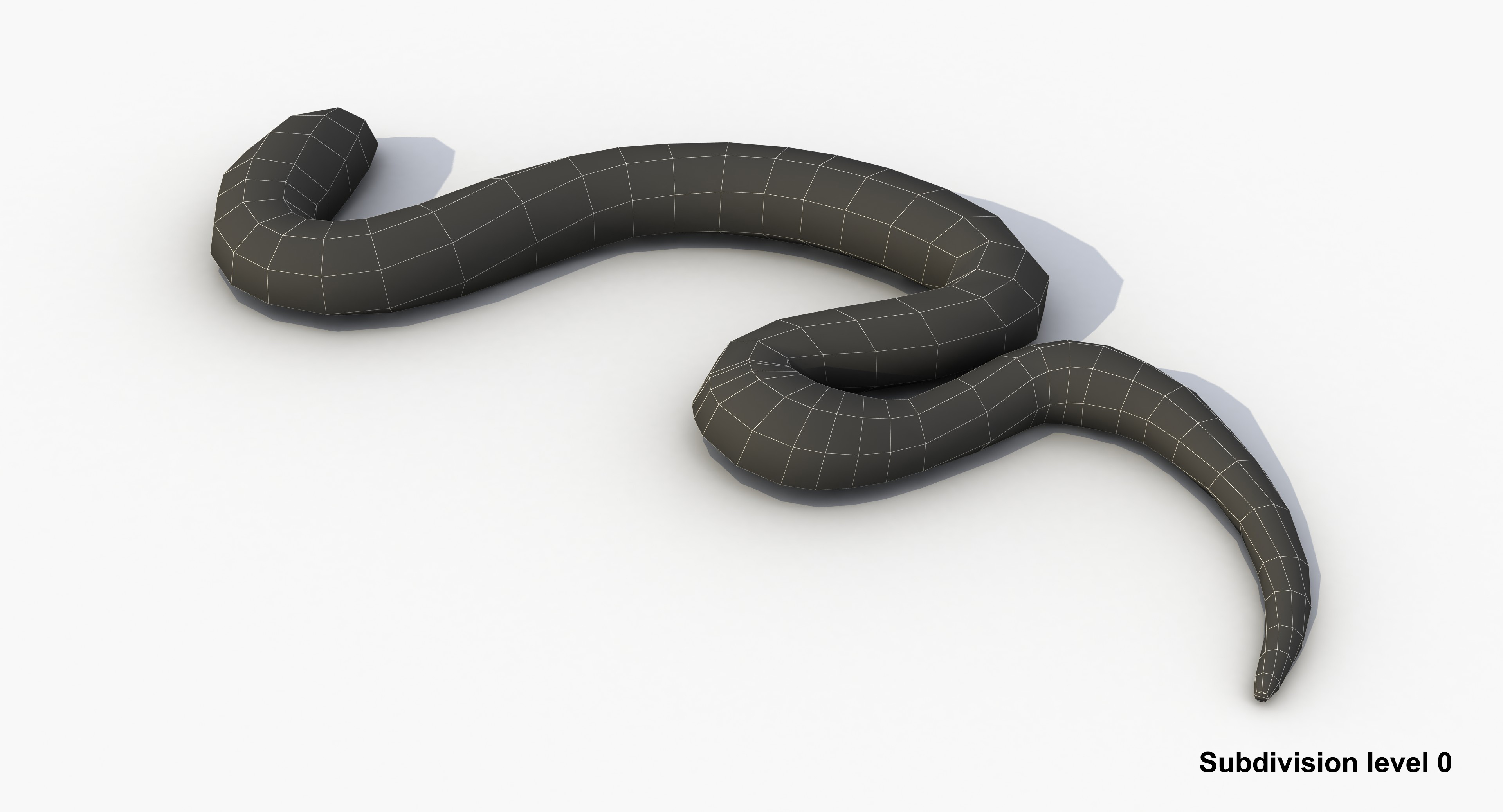 earth worm 3d model