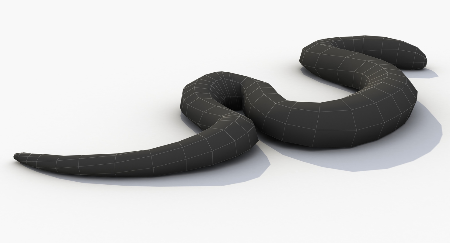 earth worm 3d model