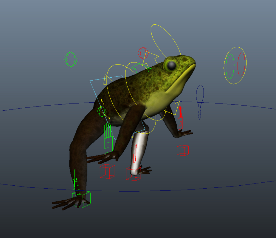 Toad rig frog 3D - TurboSquid 1395718