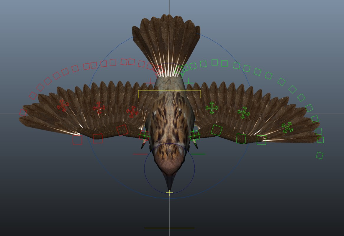 Rig sparrow bird 3D model - TurboSquid 1395740