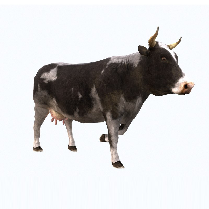 3D cow animation - TurboSquid 1392468