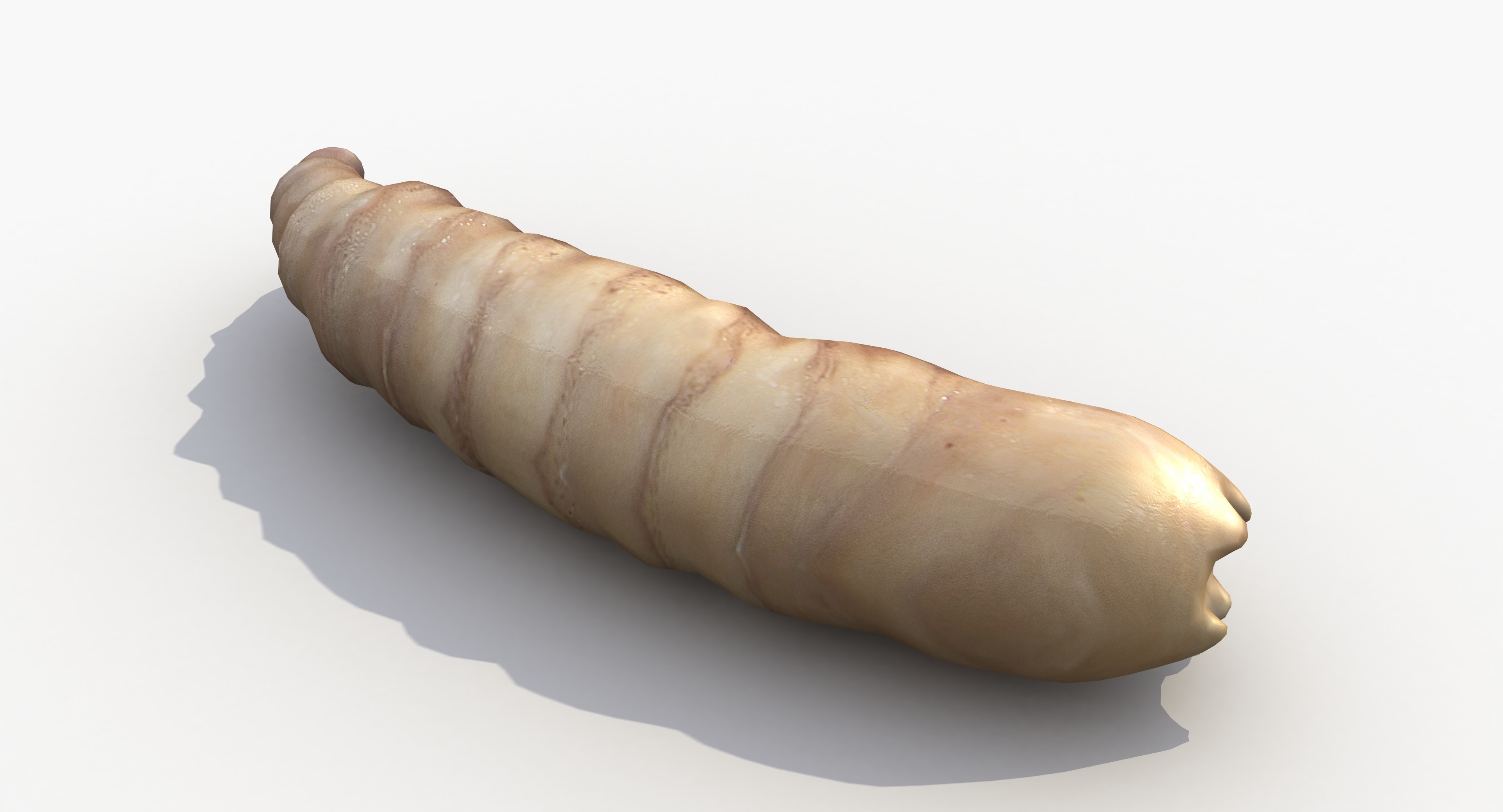 3d model of maggot modelled