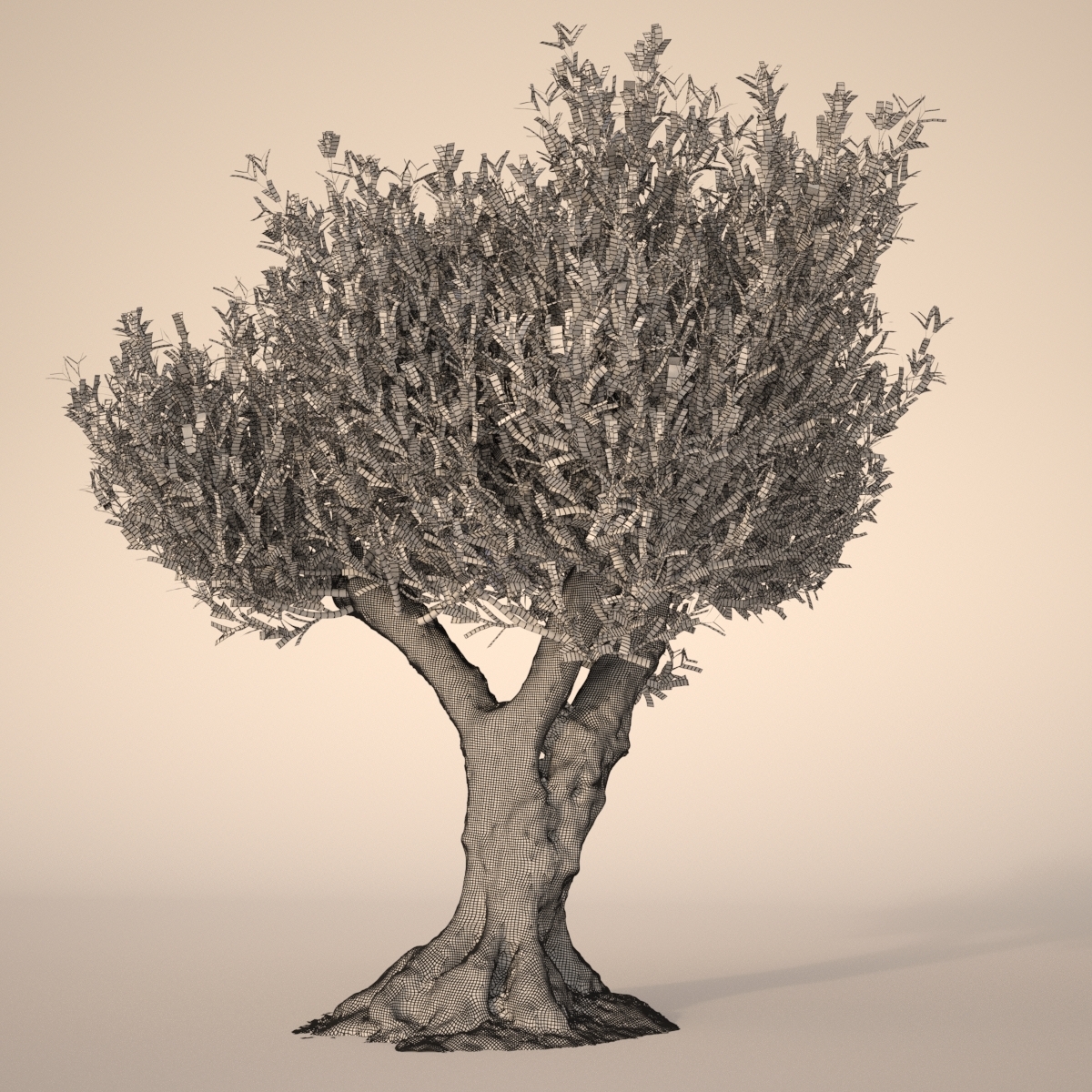 3D olive trees animation realistic model - TurboSquid 1396078