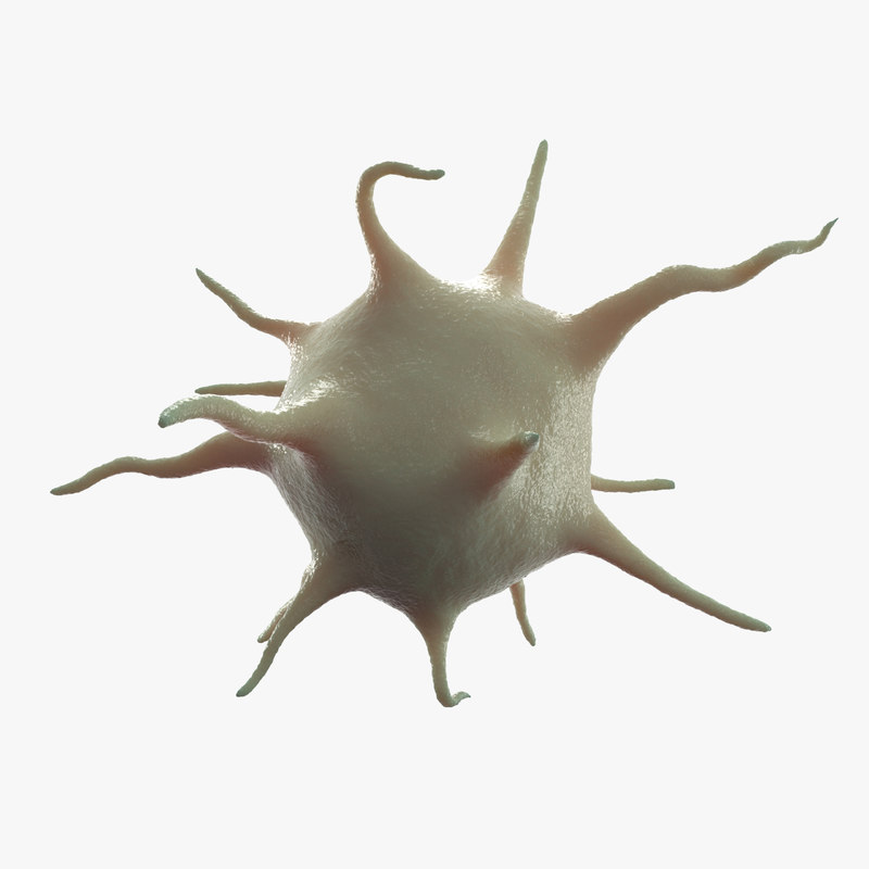 3D platelet thrombocyte 2 - TurboSquid 1396167