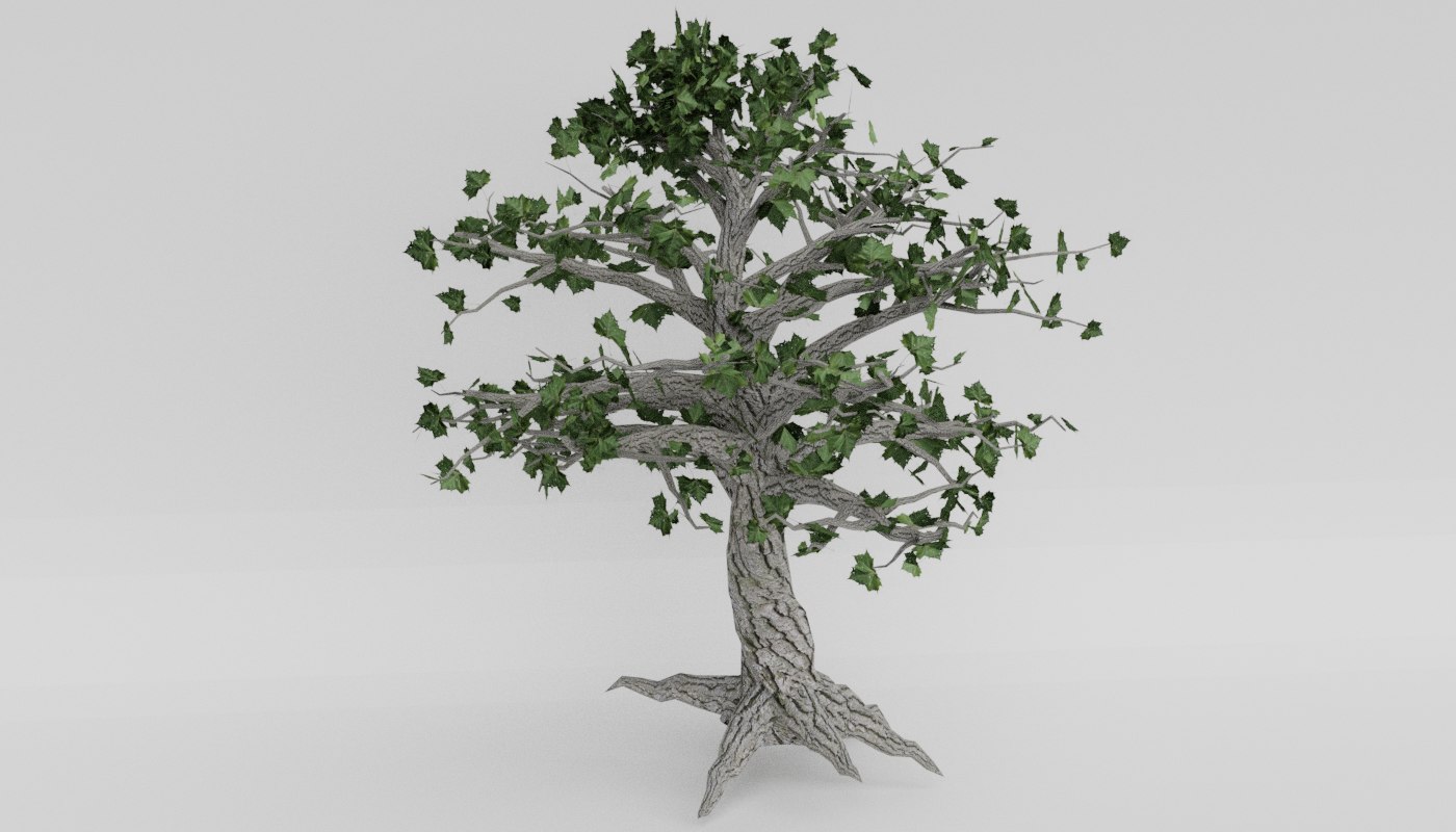 3D tree model - TurboSquid 1396339
