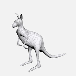Kangaroo 3D Models for Download | TurboSquid