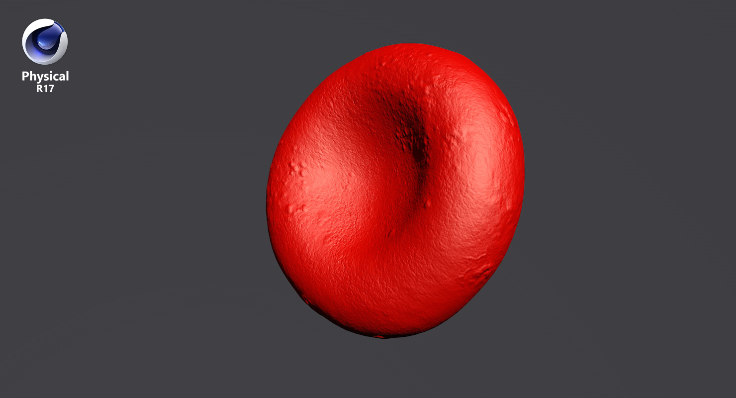 Red blood cell erythrocyte 3D - TurboSquid 1396560