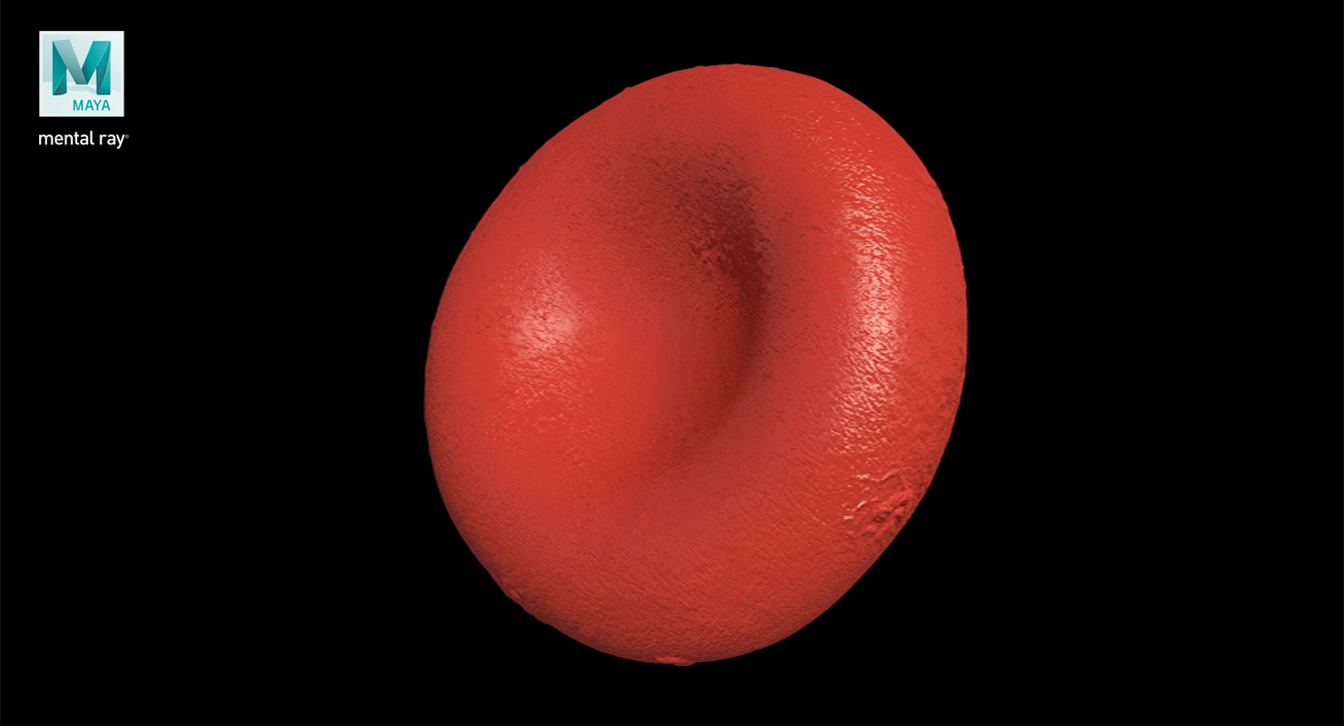 Red blood cell erythrocyte 3D - TurboSquid 1396560