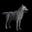 Free 3D grey wolf rig - TurboSquid 1390070