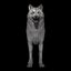 Free 3D grey wolf rig - TurboSquid 1390070