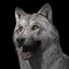 Free 3D grey wolf rig - TurboSquid 1390070