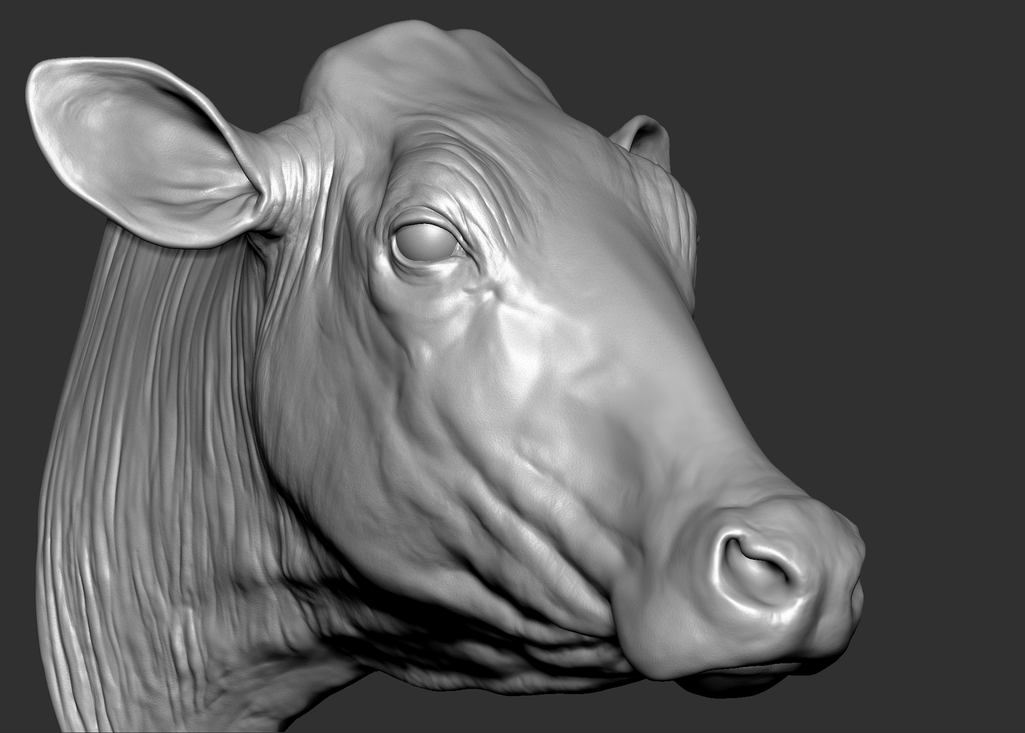 Cow head 3D - TurboSquid 1396830