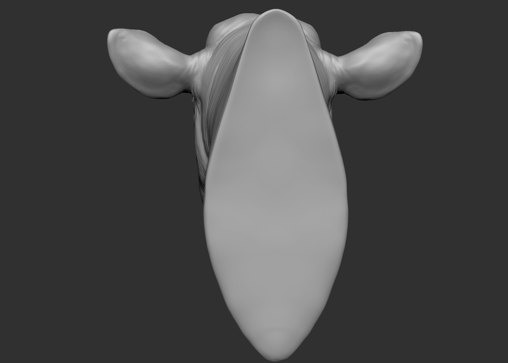 Cow head 3D - TurboSquid 1396830