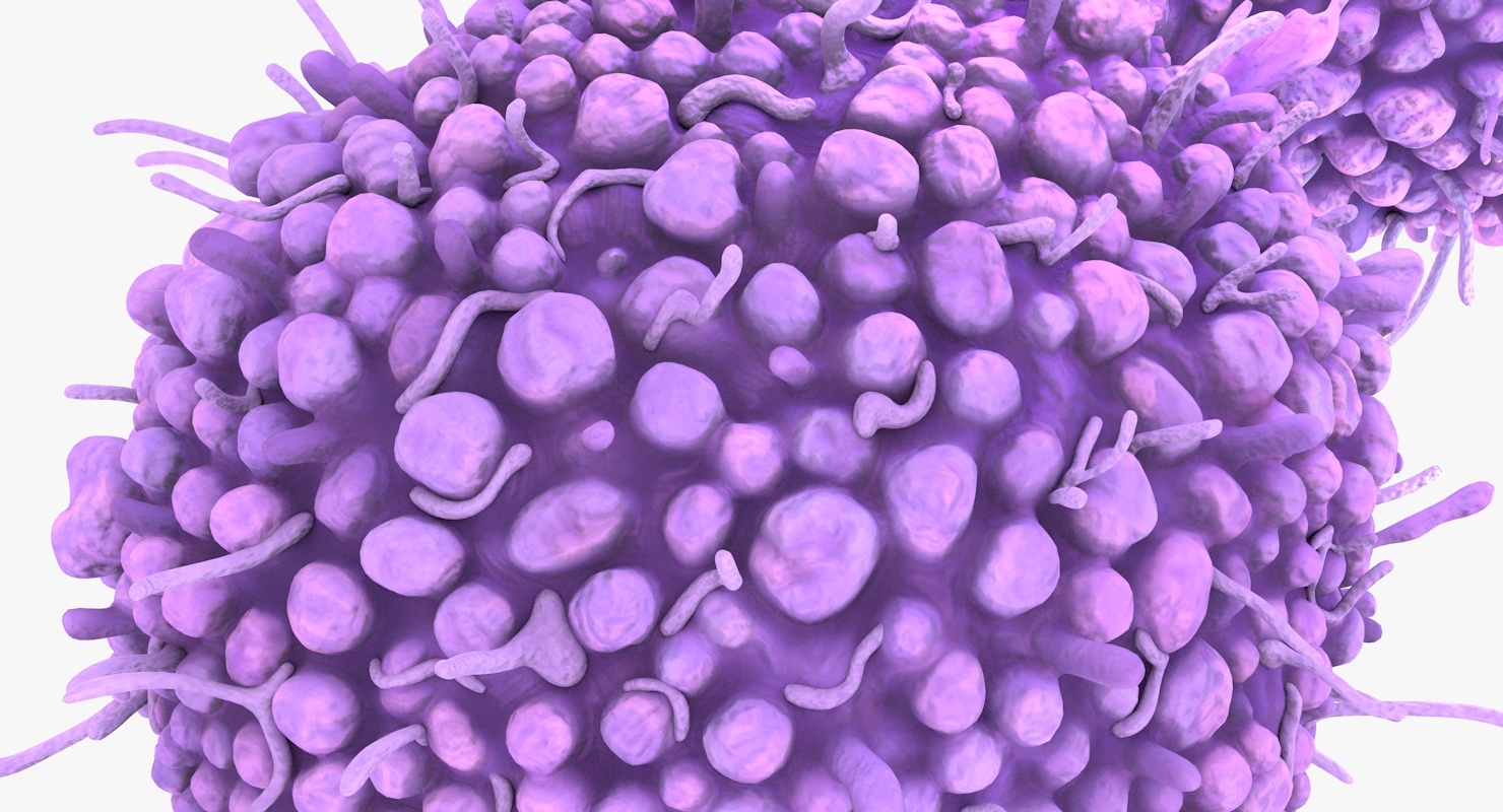 3D cancer cells model - TurboSquid 1396950