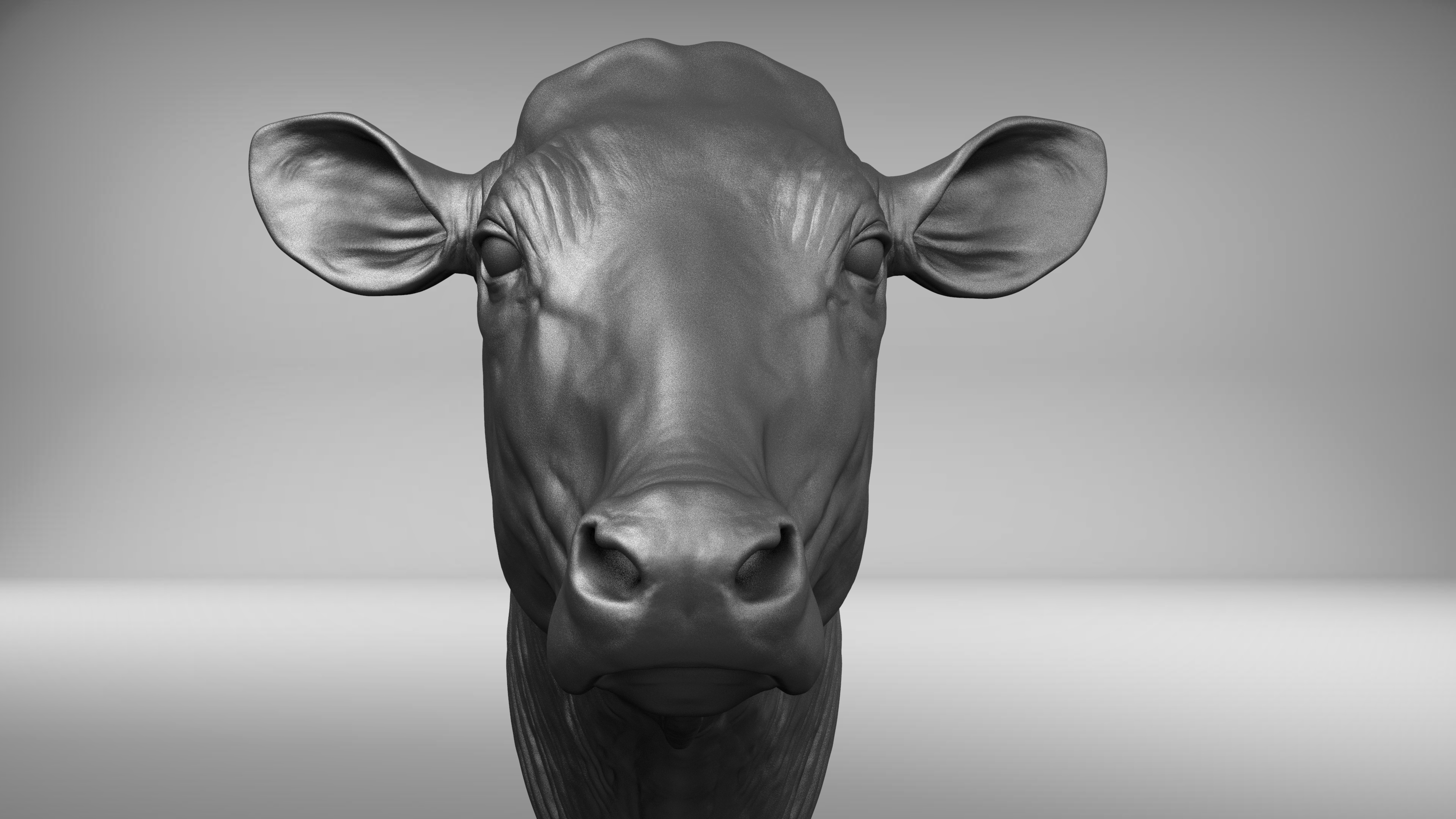 Cow head 3D - TurboSquid 1396830