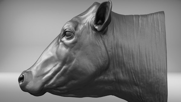 Cow head 3D - TurboSquid 1396830