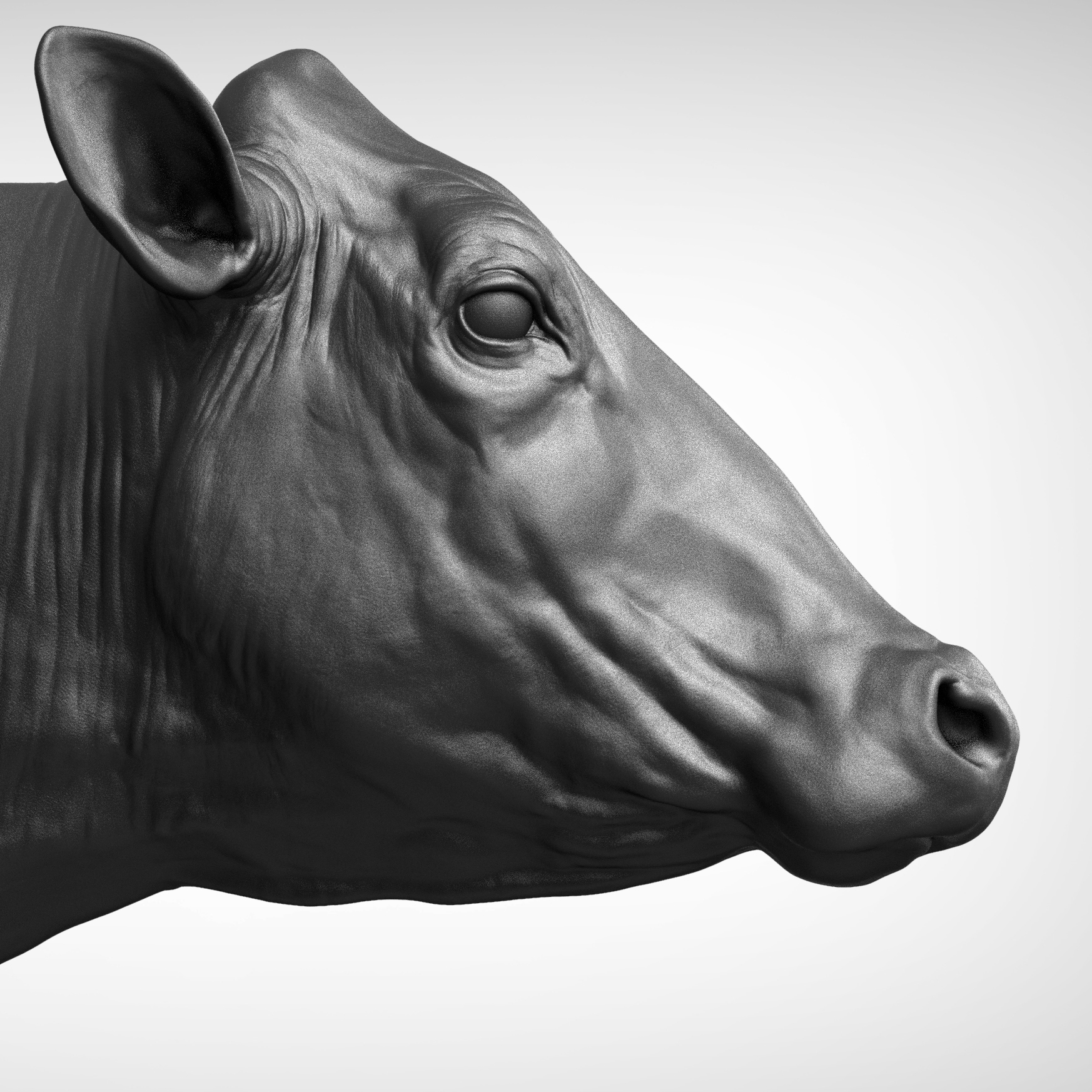 Cow head 3D - TurboSquid 1396830