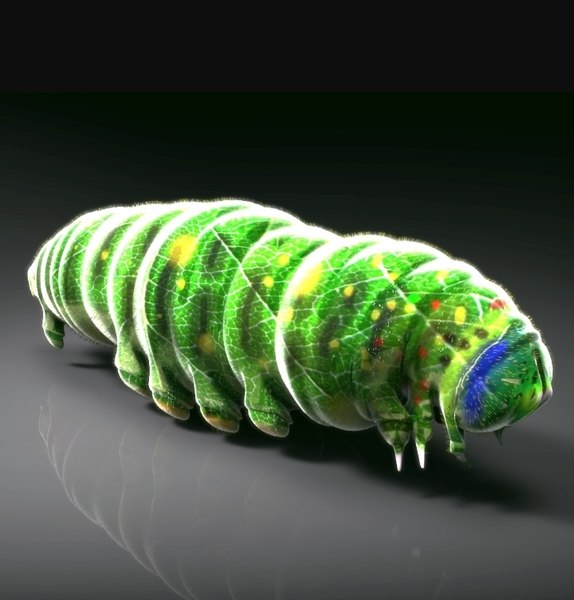 3D Larva Models | TurboSquid