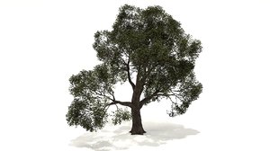 Tree STL Models for Download | TurboSquid