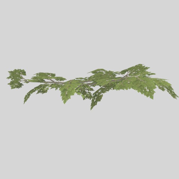3D model rigged tree branch types - TurboSquid 1397320