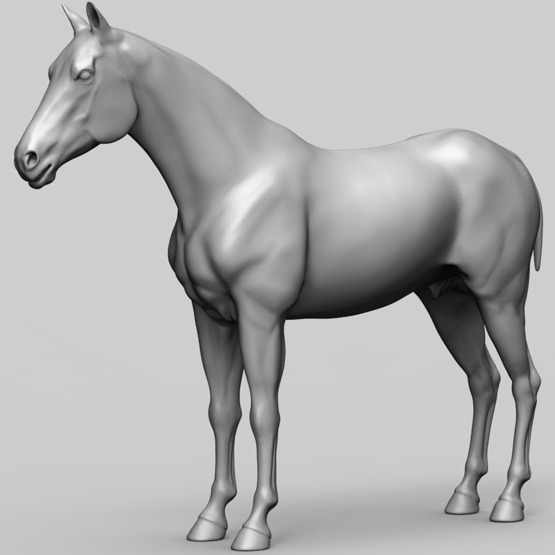 Zbrush horse base mesh 3D model - TurboSquid 1396804
