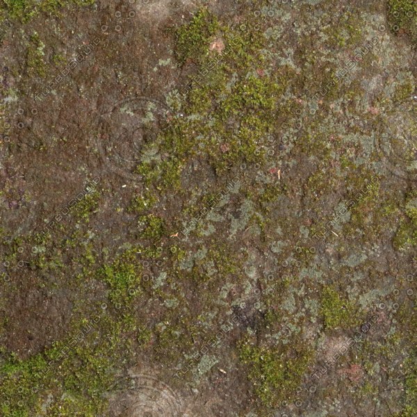 Texture PNG moss pavement concrete