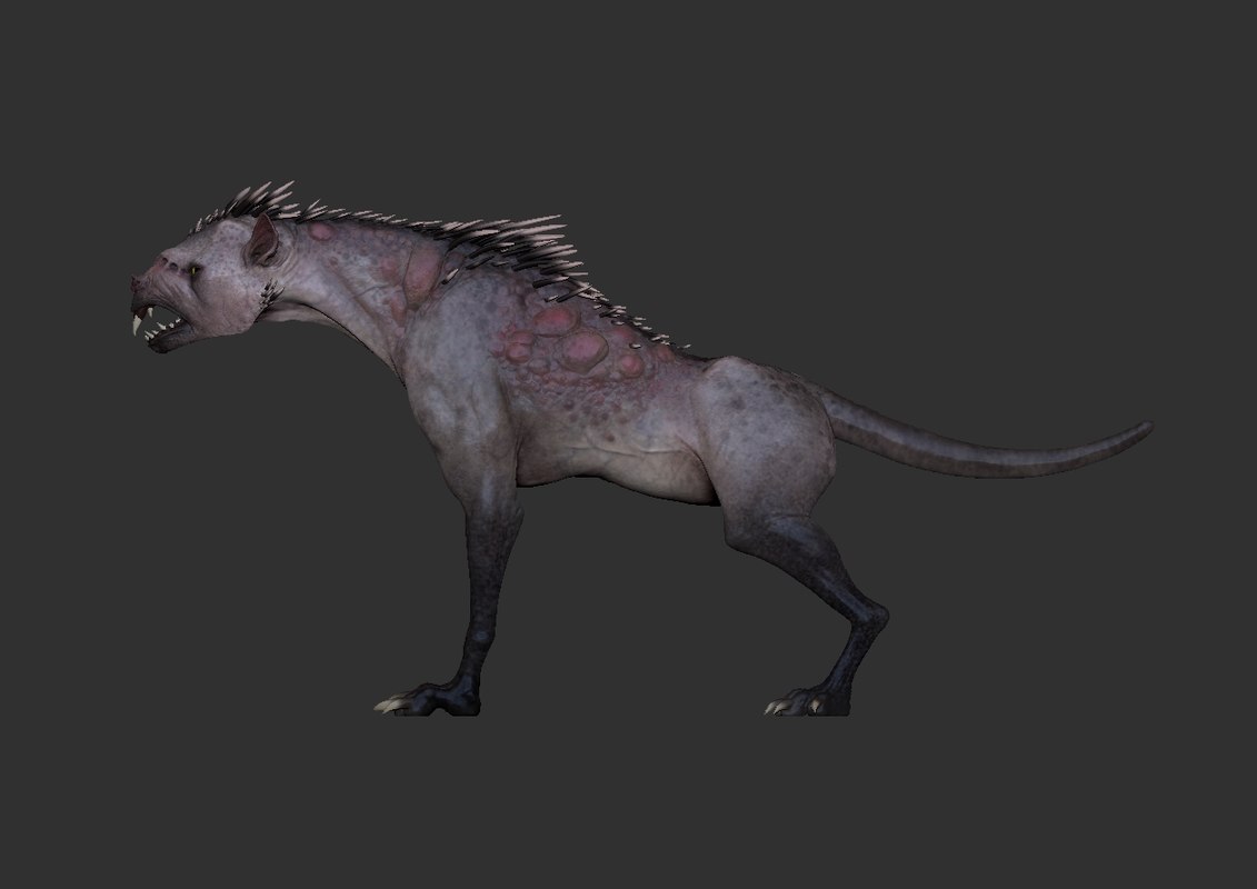 Chupacabra 3D model - TurboSquid 1398035