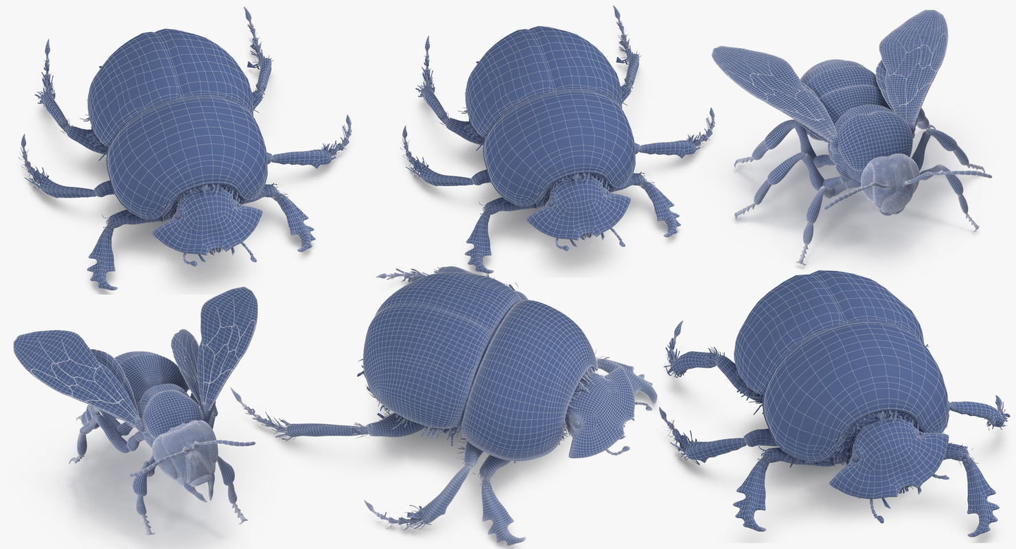 modèle 3D de Collection Insectes 03 - 61 Produits - TurboSquid 1398851