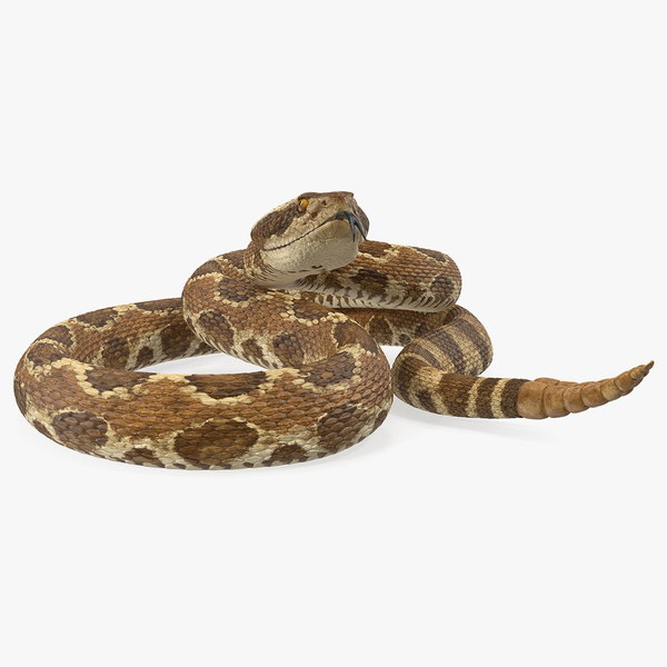 3D Serpent Models | TurboSquid