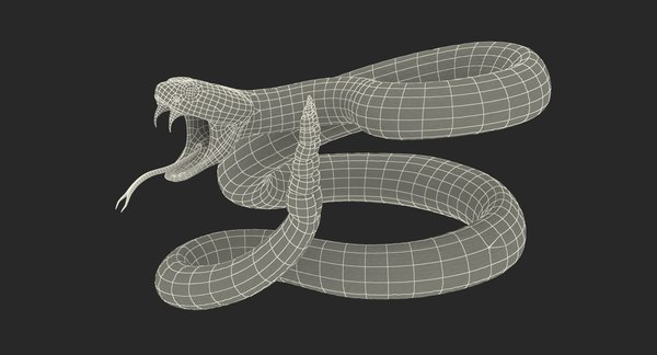 3D model dark rattlesnake attack pose - TurboSquid 1398397