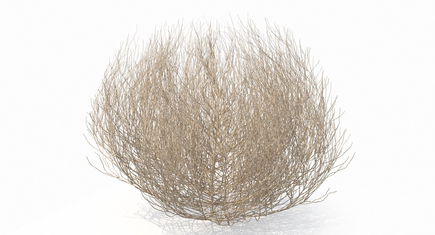 Desert tumbleweed tumbled 3D - TurboSquid 1398401