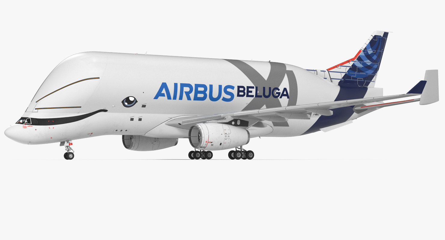 3D airbus beluga xl large - TurboSquid 1398390