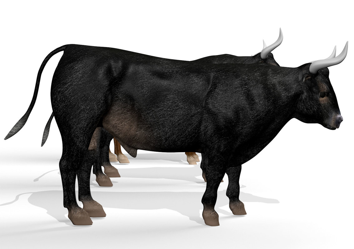 Rigged bull animation 3D model - TurboSquid 1398389