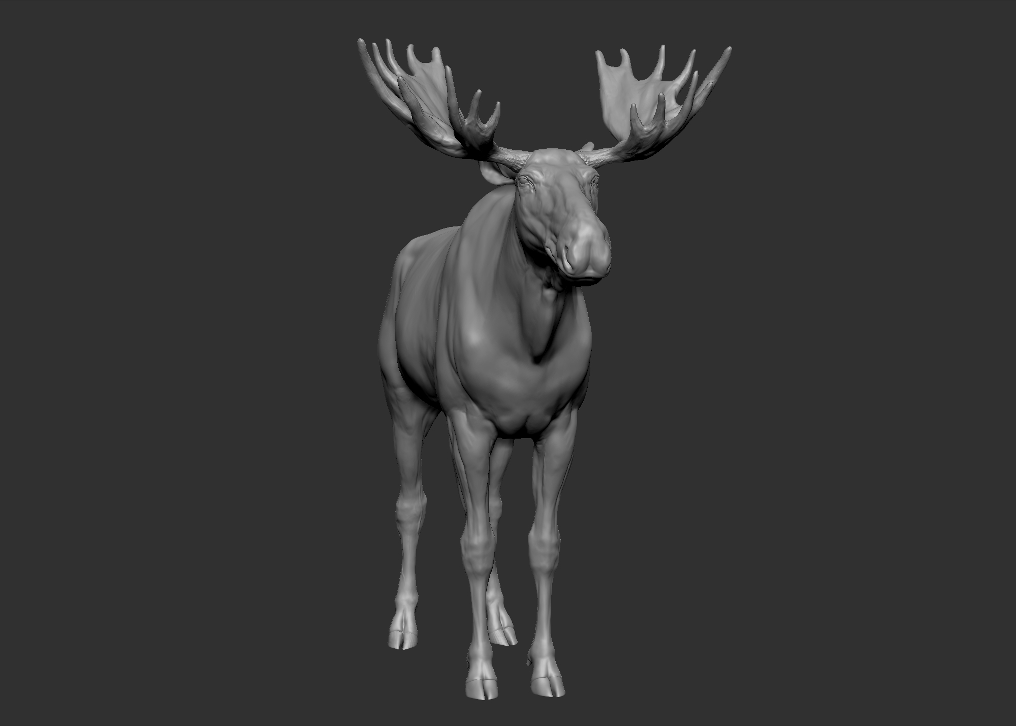 3D moose ztl zbrush model - TurboSquid 1398465