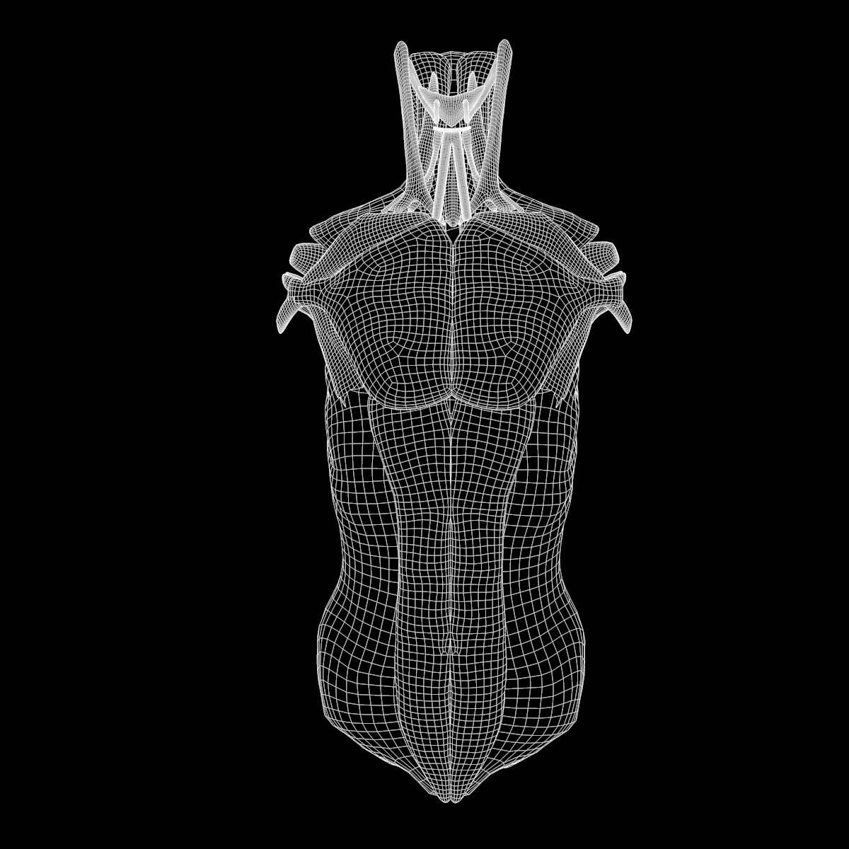 modelo 3d Anatomía del músculo del torso - TurboSquid 1398499