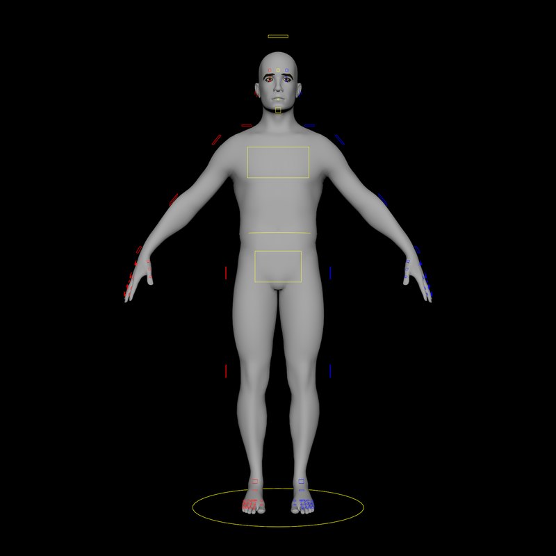 Male character animation rig 3D model - TurboSquid 1398951