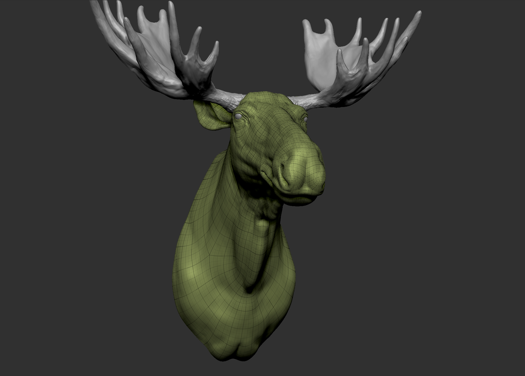3D moose zbrush head model - TurboSquid 1399378