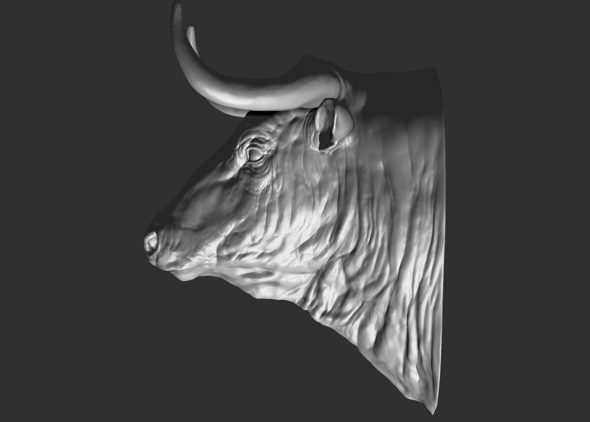 Bull head realistic 3D model - TurboSquid 1399392