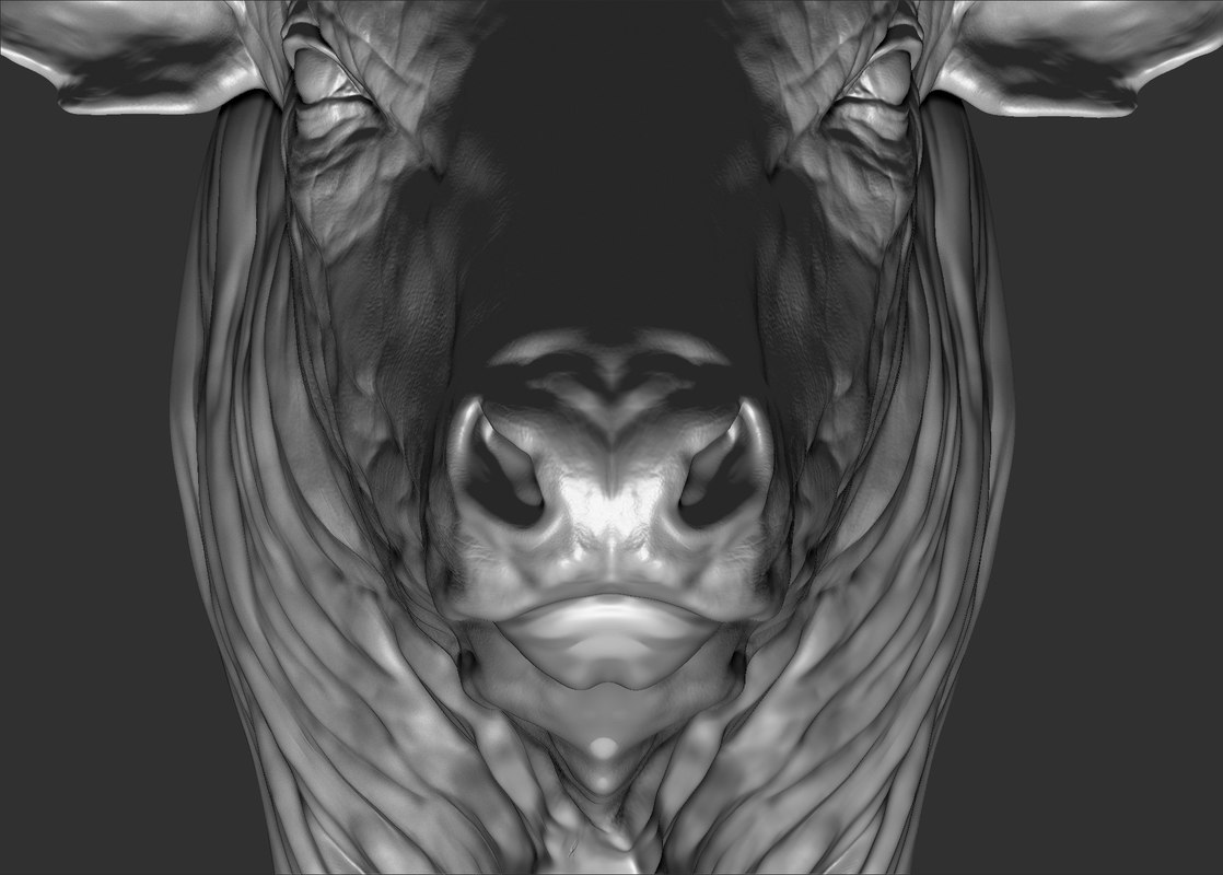 Bull head realistic 3D model - TurboSquid 1399392