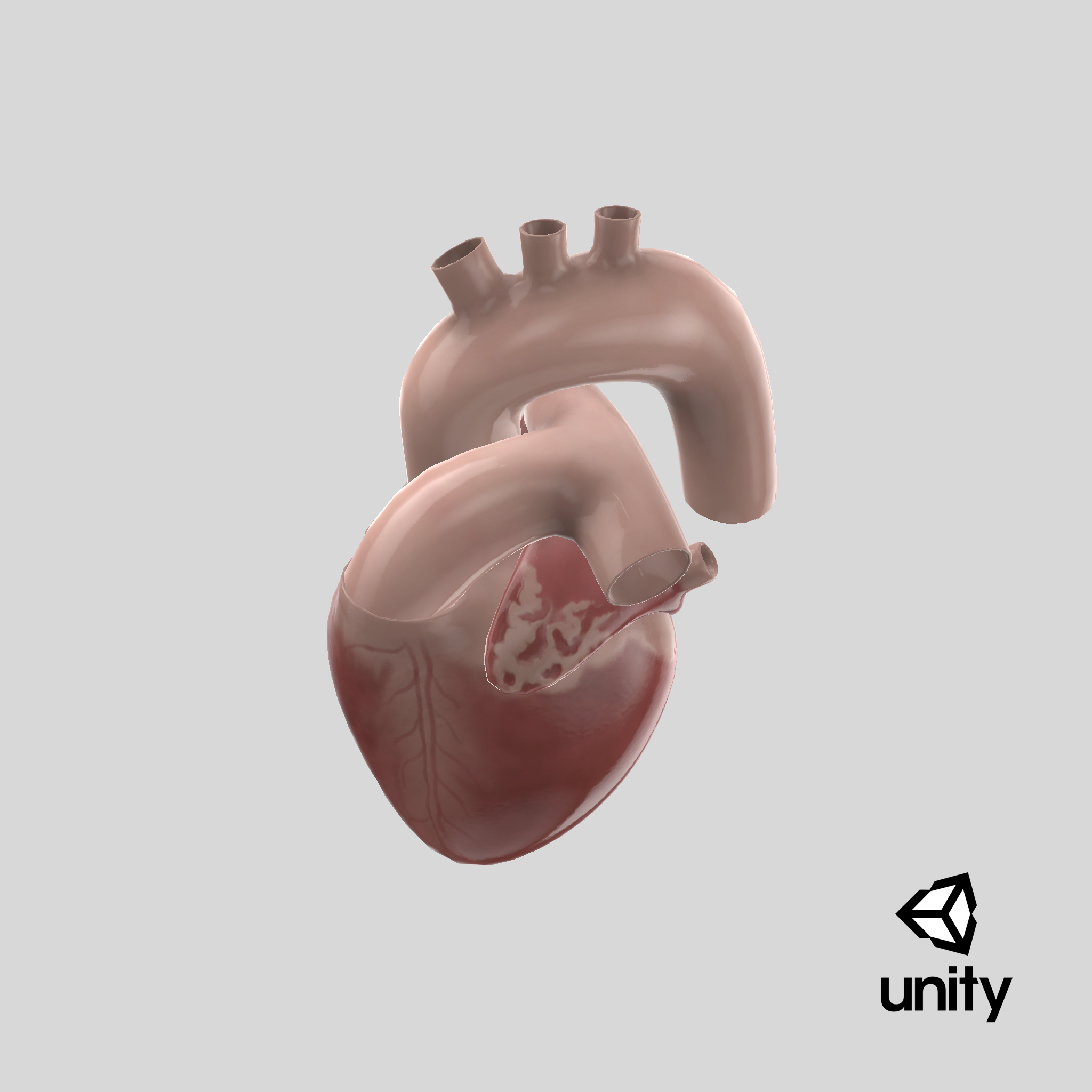 Man heart organized 3D - TurboSquid 1399188