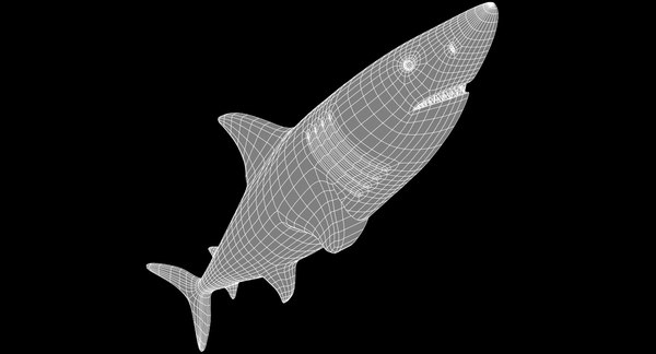 shark cnc 3d max