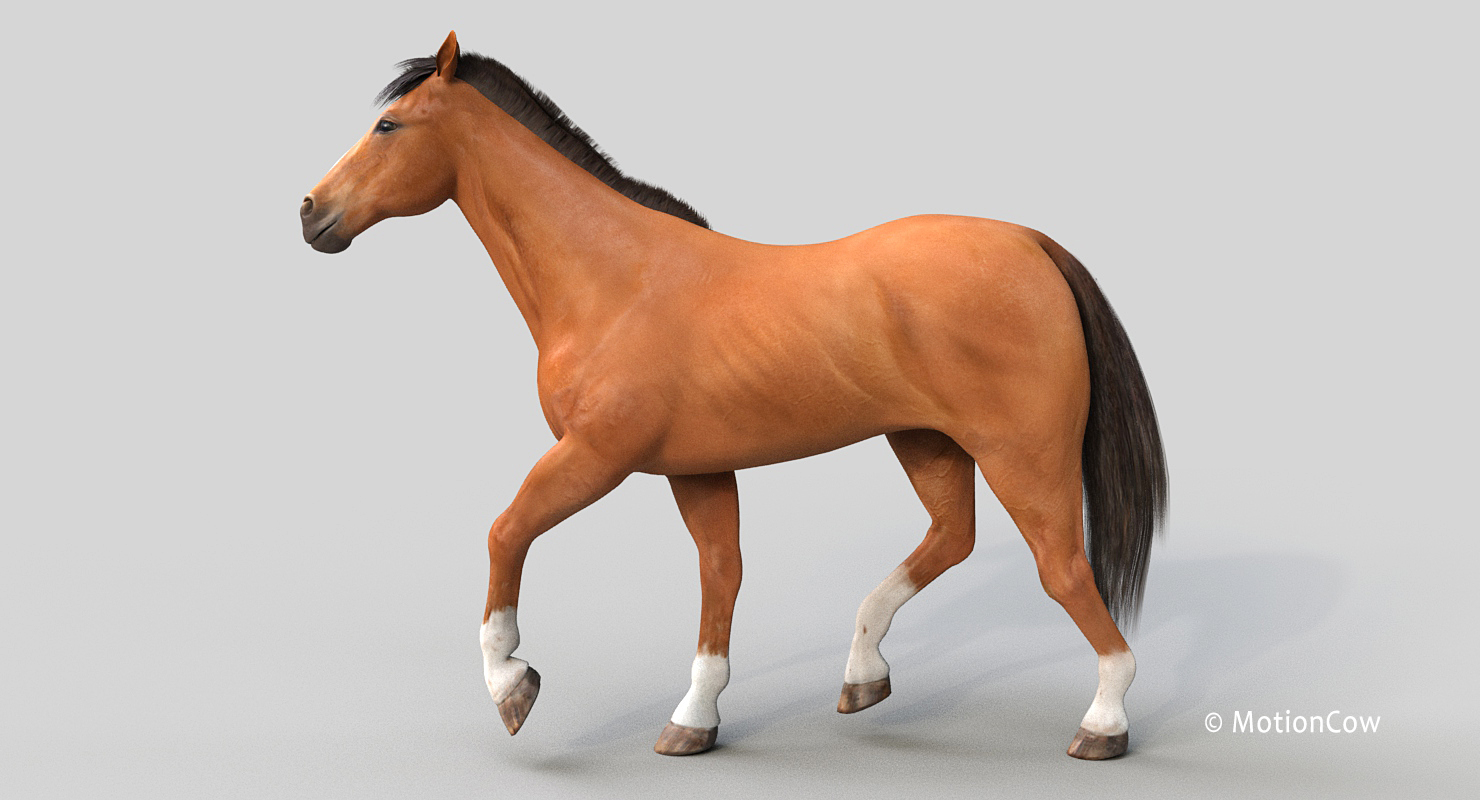 3D brown horse rig - TurboSquid 1381715