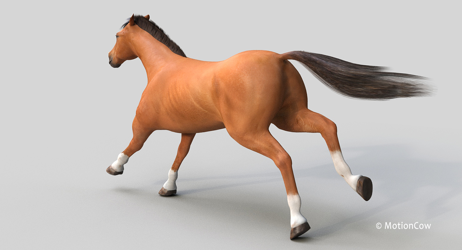 3D brown horse rig - TurboSquid 1381715