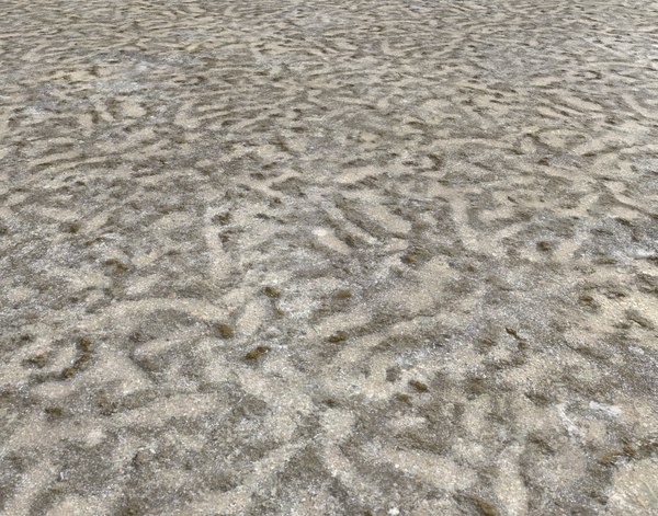 Texture sand mud pbr