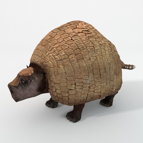 Gliptodonte 3D model - TurboSquid 1400307
